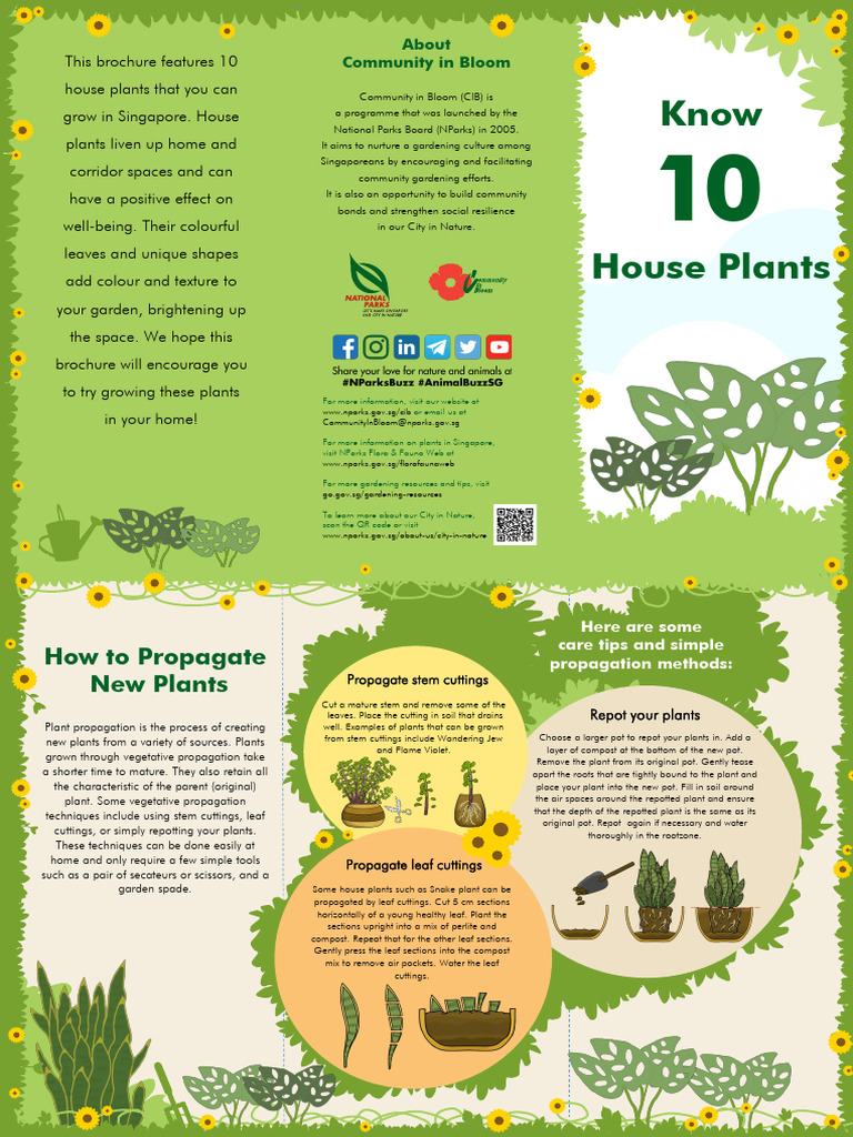 House Plants for Singapore Gardens | PDF | Leaf | Horticulture