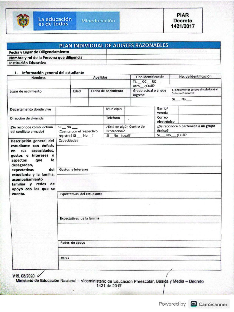 Formato PIAR 2025 - Compressed | PDF