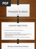Plant Transport Systems Explained | PDF