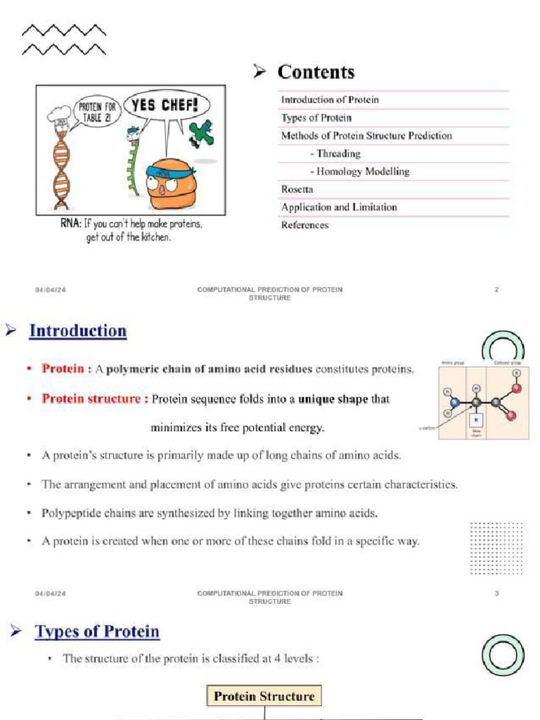 Computation Prediction Protein Structure | PDF