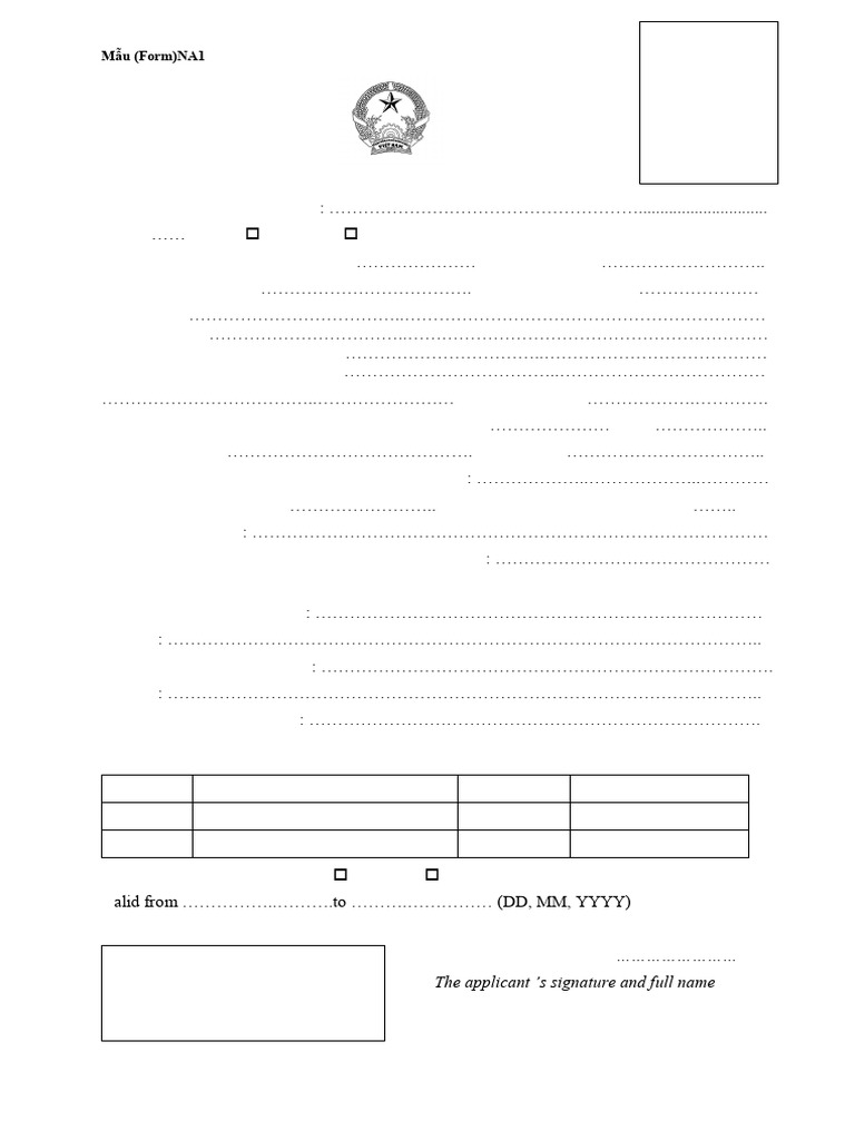 Vietnam Visa Application Form NA1 | PDF
