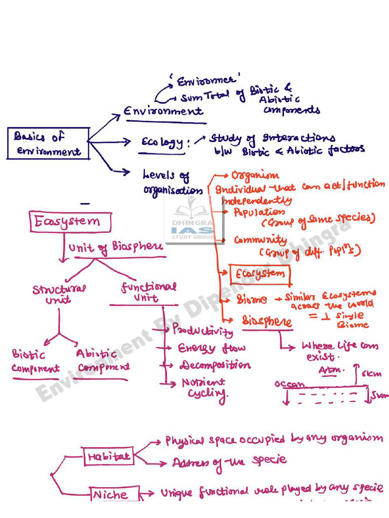 Environment Basics Flowchart | PDF