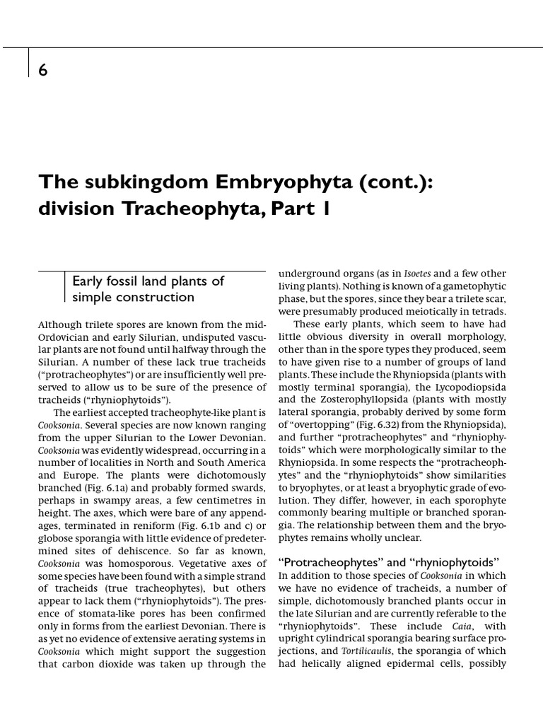 The Subkingdom Embryophyta (Cont.) : Division Tracheophyta, Part 1 ...