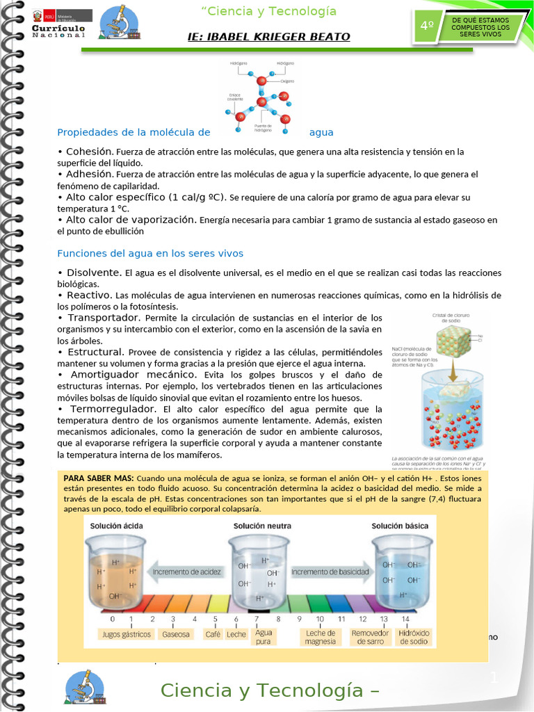 B 4º Act 3-Cyt-u1.Docx Ikb | PDF | Agua | Escasez de agua