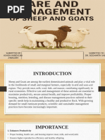 Sheep Goat 1 | PDF