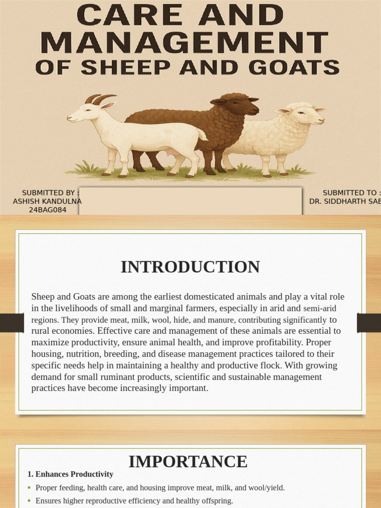 Care and Management of Sheeps and Goats | PDF | Sheep | Goat