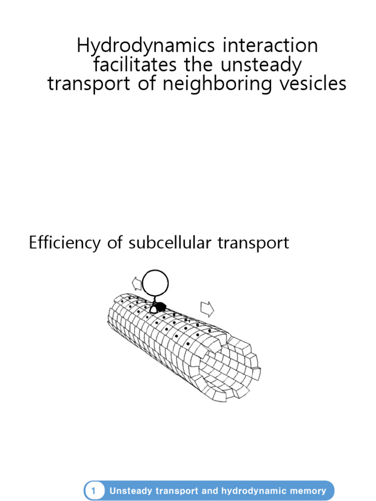 Hydrodynamic Interaction Pdf Fluid Dynamics Viscosity