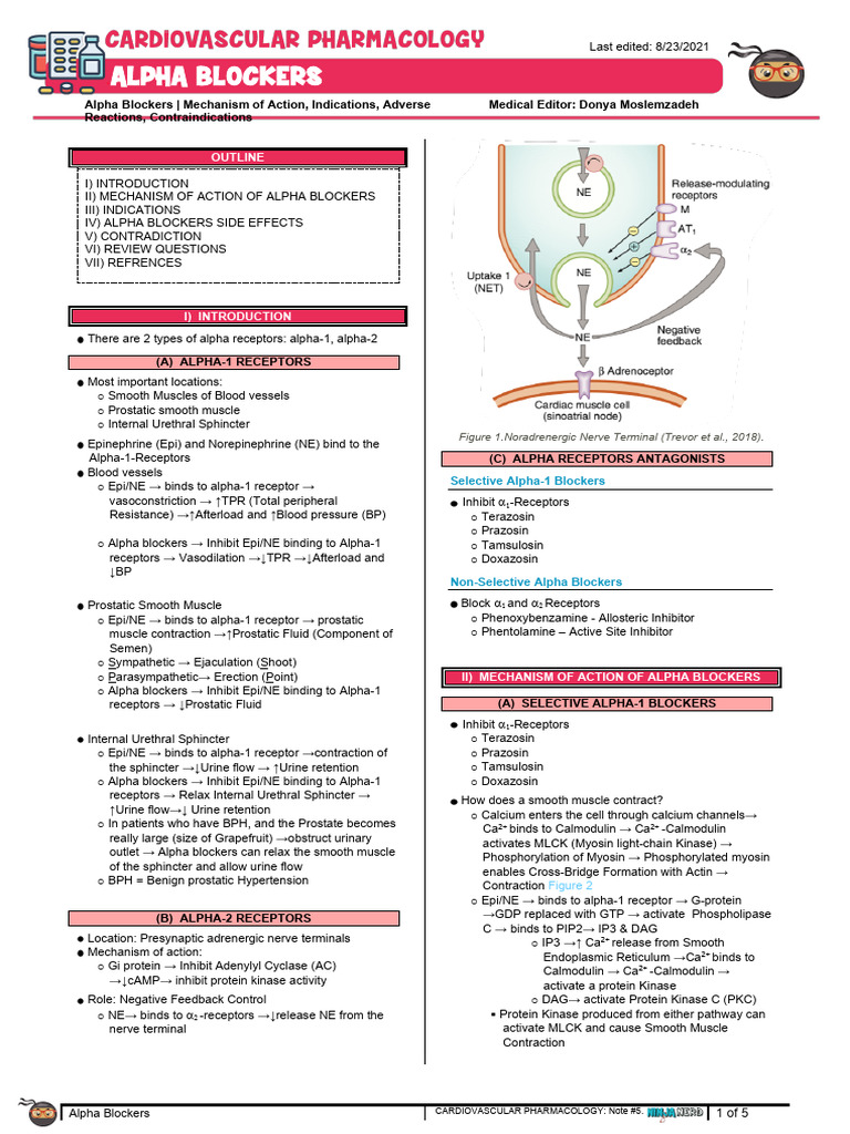 Alpha Blockers Mechanism of Action, Indications, Adverse Reactions, Contraindications Atf | PDF ...