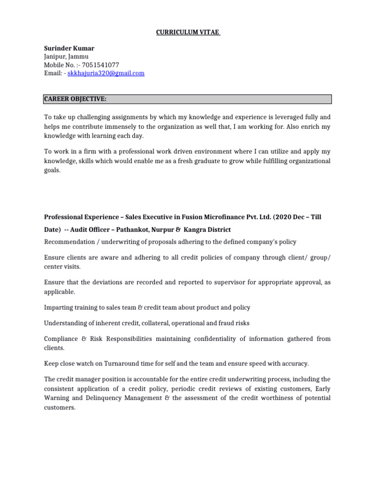 Surinder Kumar's Professional CV | PDF | Business