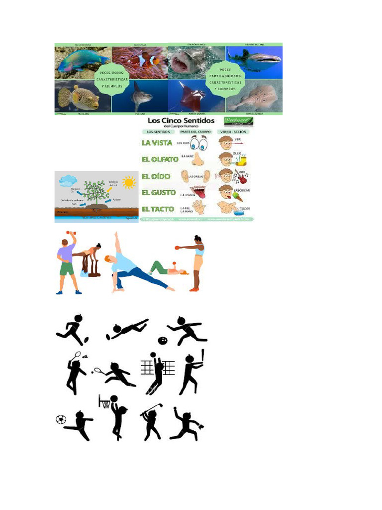 Recortes Ciencias | PDF