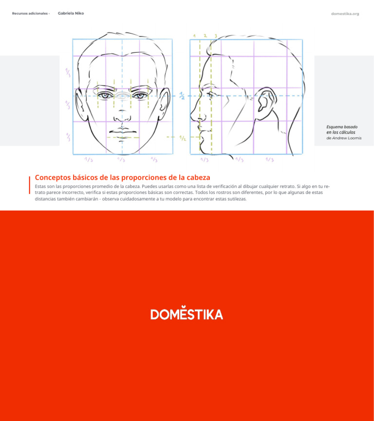 U3 - 02 (Basics of Head Proportions - Front and Profile) .PPTX ...