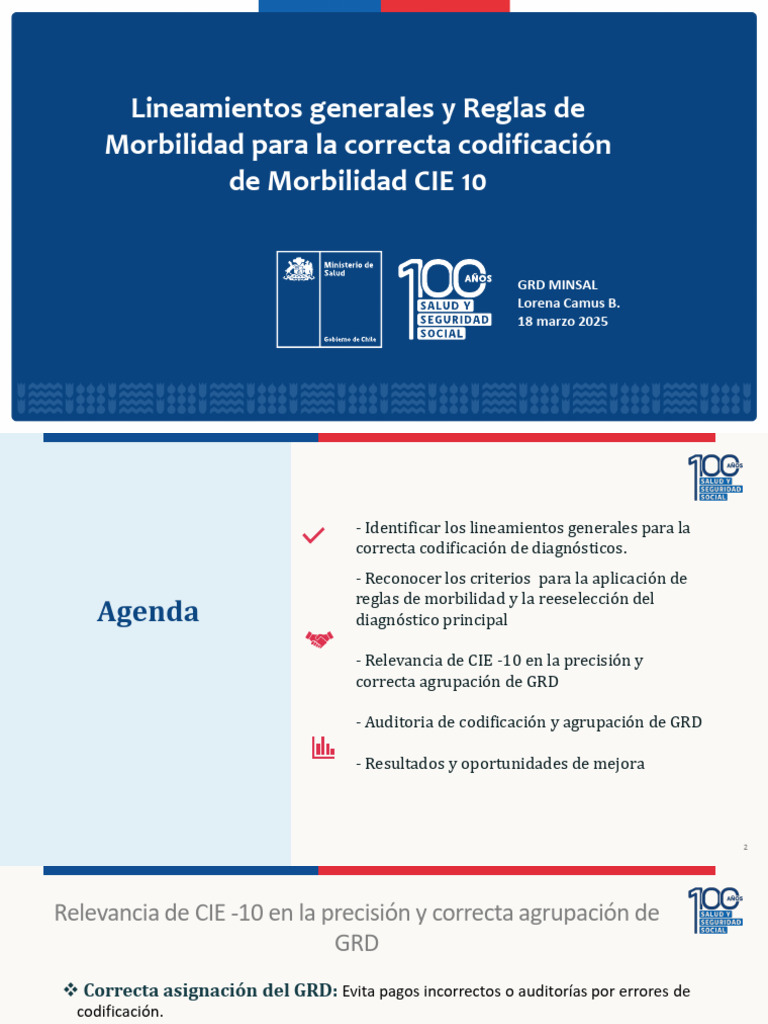 Lineamientos Generales y Reglas para La Correcta Codificación de ...