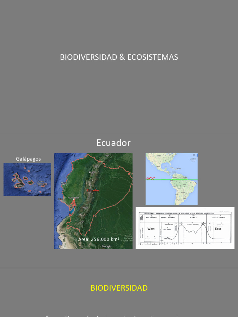 Biodiversity and Ecosystems of Ecuador | PDF | Amazon Rainforest | Andes