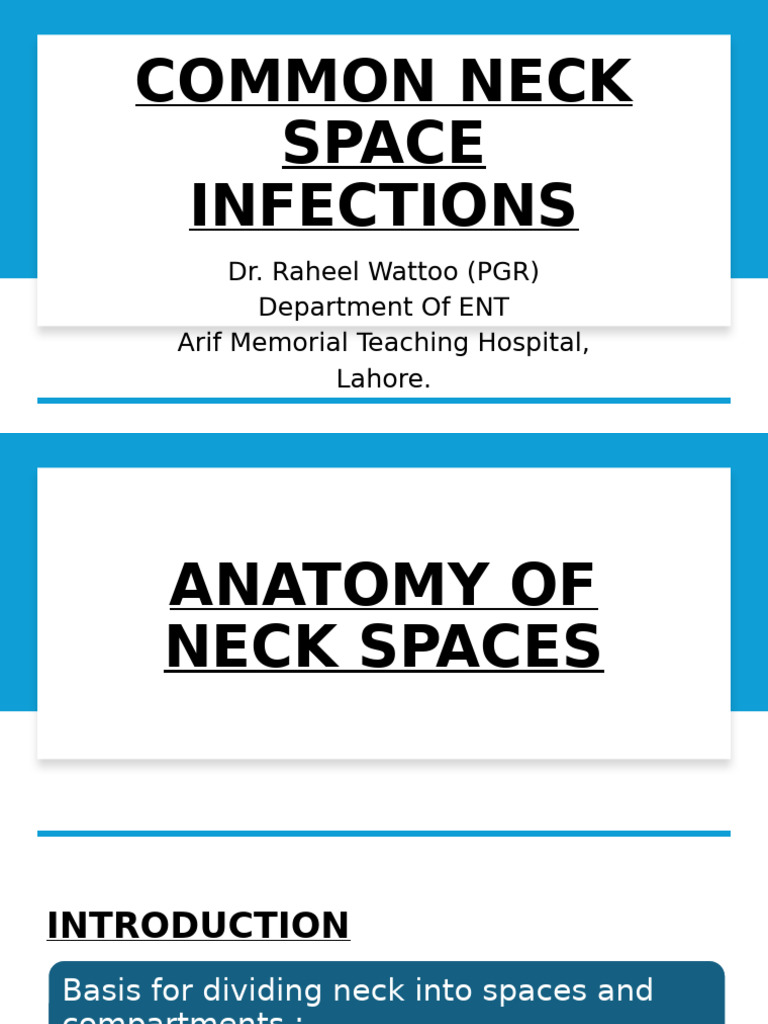 Neck Space Infections Overview | PDF | Common Carotid Artery | Neck