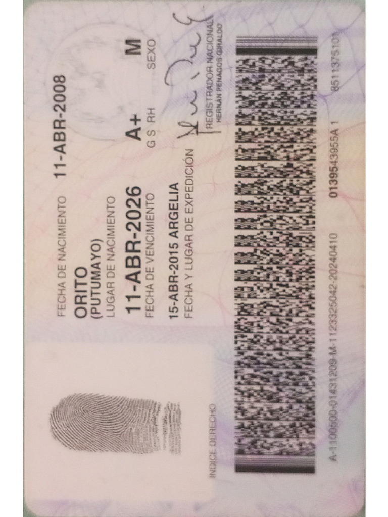 Documentos Personales | PDF