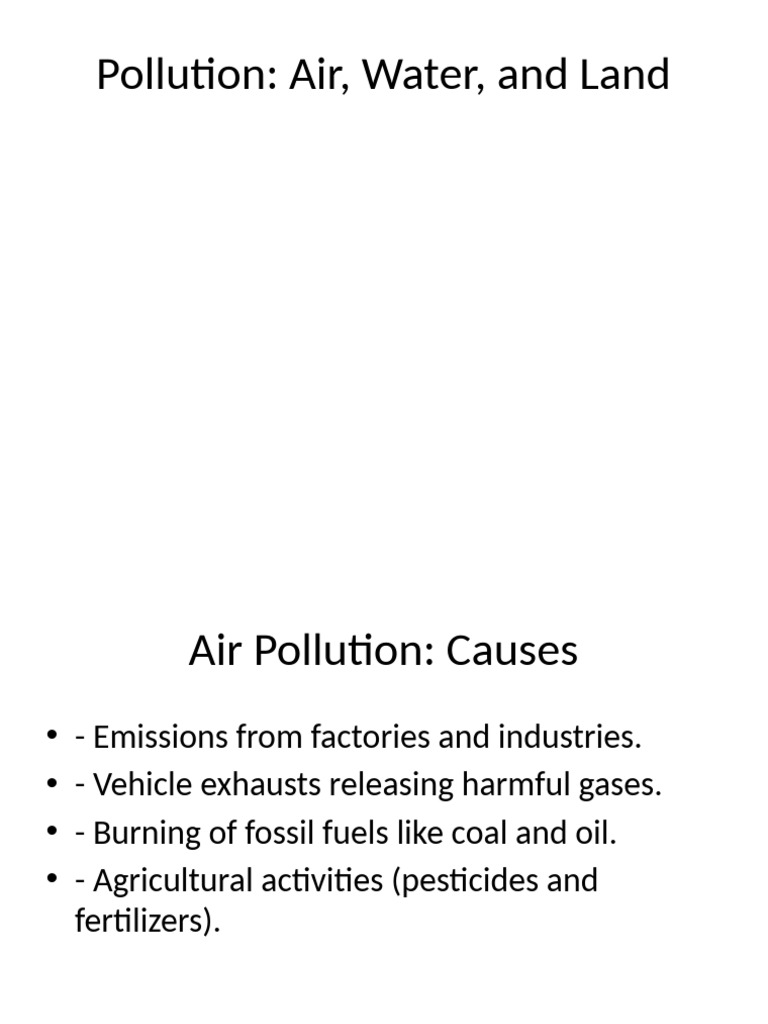 Pollution Presentation | PDF