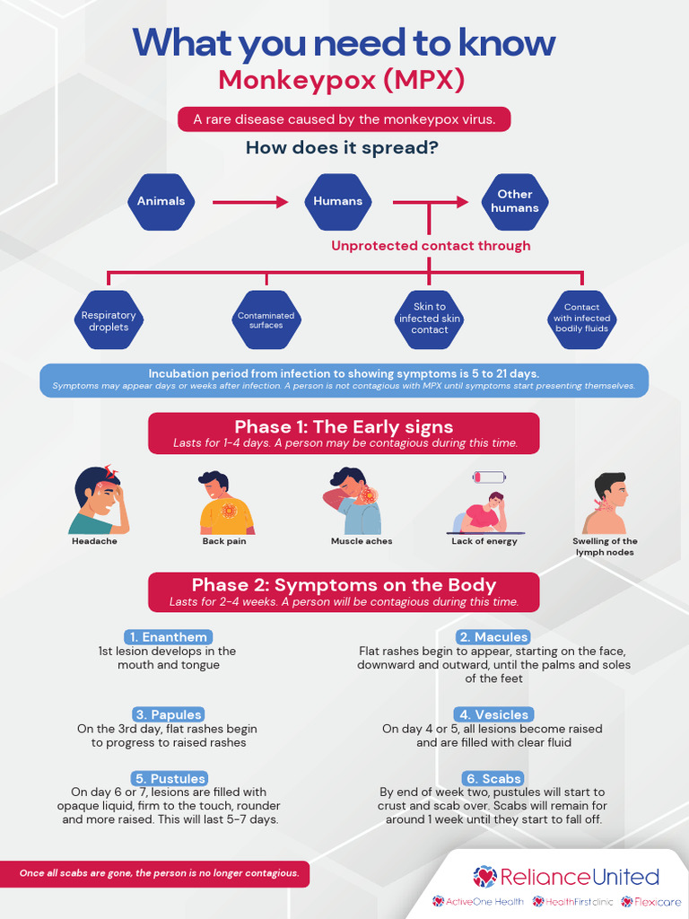 Monkeypox What You Need To Know | PDF | Clinical Medicine | Diseases ...