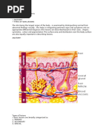 Eczema Area Severity EASI Scoring Tool | PDF | Dermatitis | Dermatology