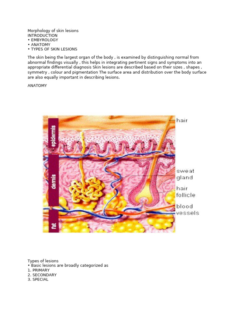 Morphology of Skin Lesions | PDF | Psoriasis | Medical Specialties