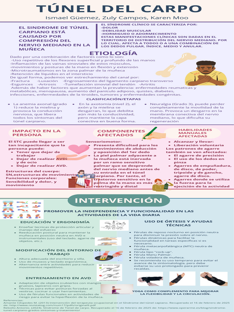 Túnel Del Carpo | PDF | Sistema nervioso | Especialidades Medicas