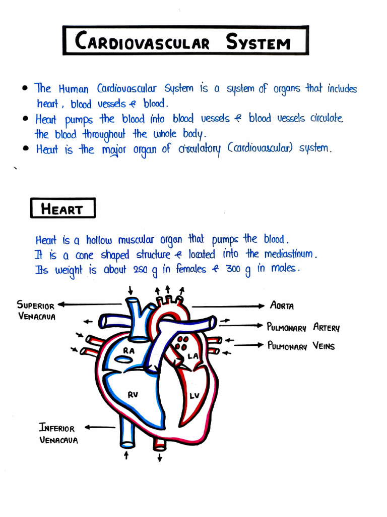 UNIT 2 Pathophysiology | PDF