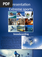 Top 17 Ice Sports Explained | PDF | Sledding | Ice Hockey