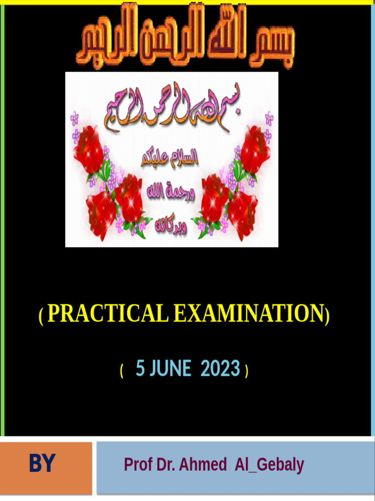 CNS Practical Examination 5 June 2024 New Model Answer | PDF | Brain ...