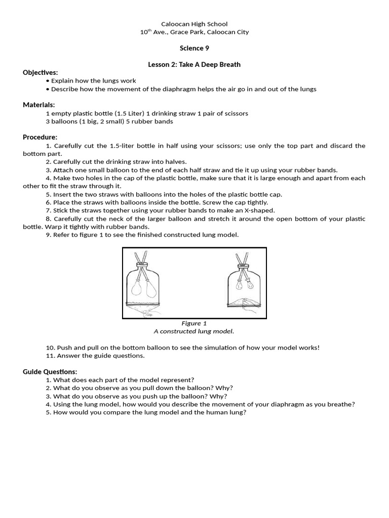 Science 9 Lesson 2: Take A Deep Breath Objectives:: A Constructed Lung ...