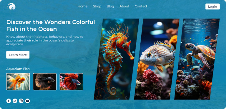 Website Template | PDF