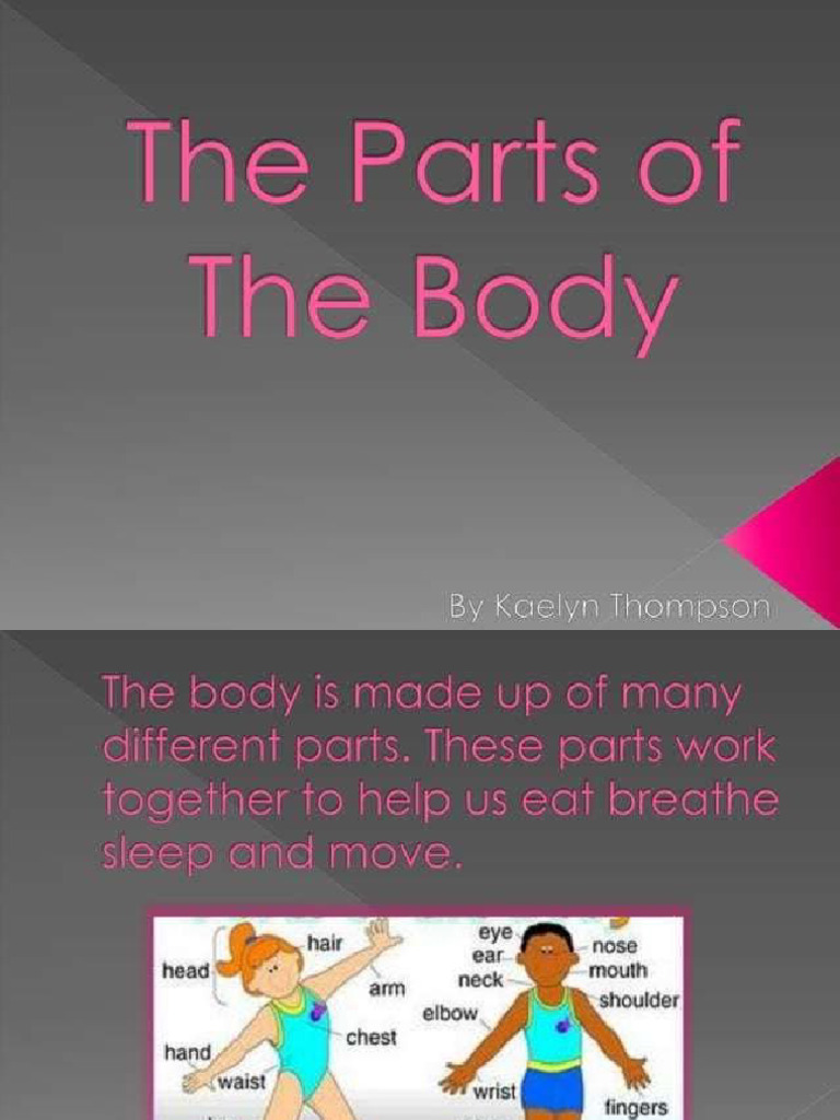 Parts of The Body and Their Function | PDF