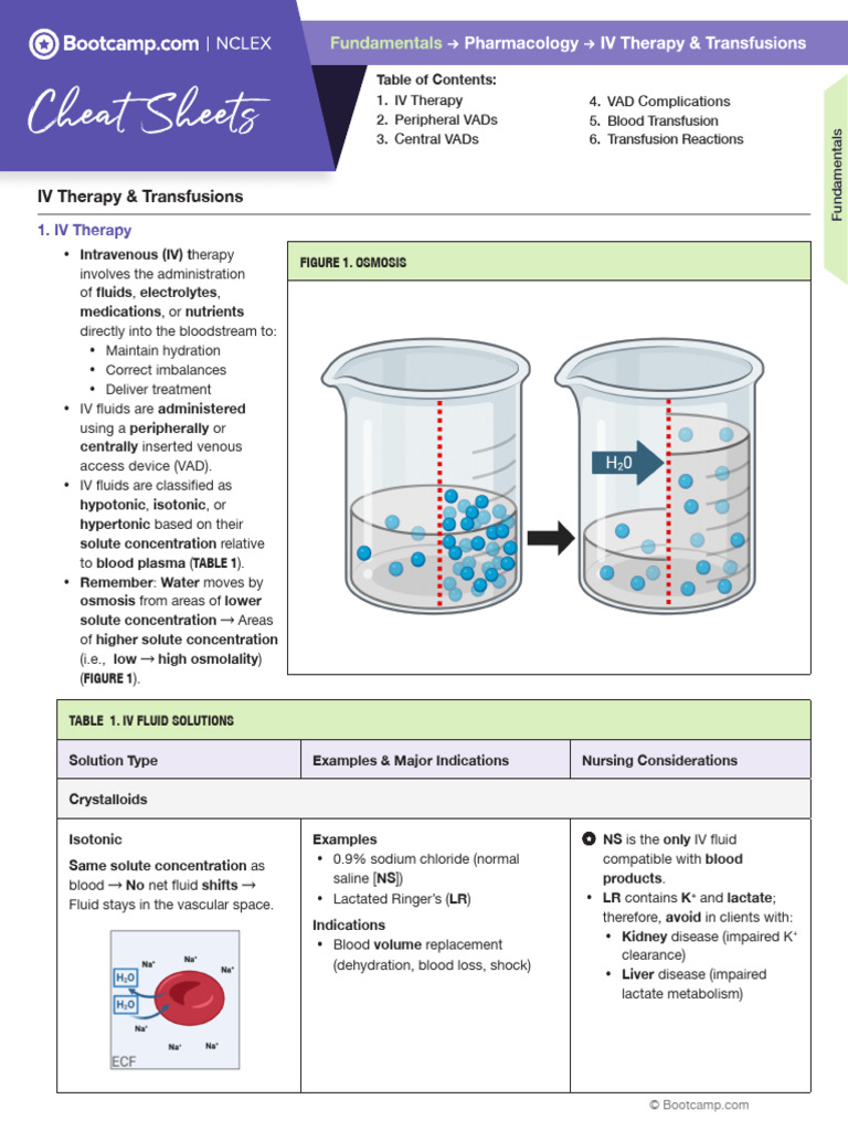 IV Therapy & Transfusions Cheat Sheet | PDF | Intravenous Therapy ...