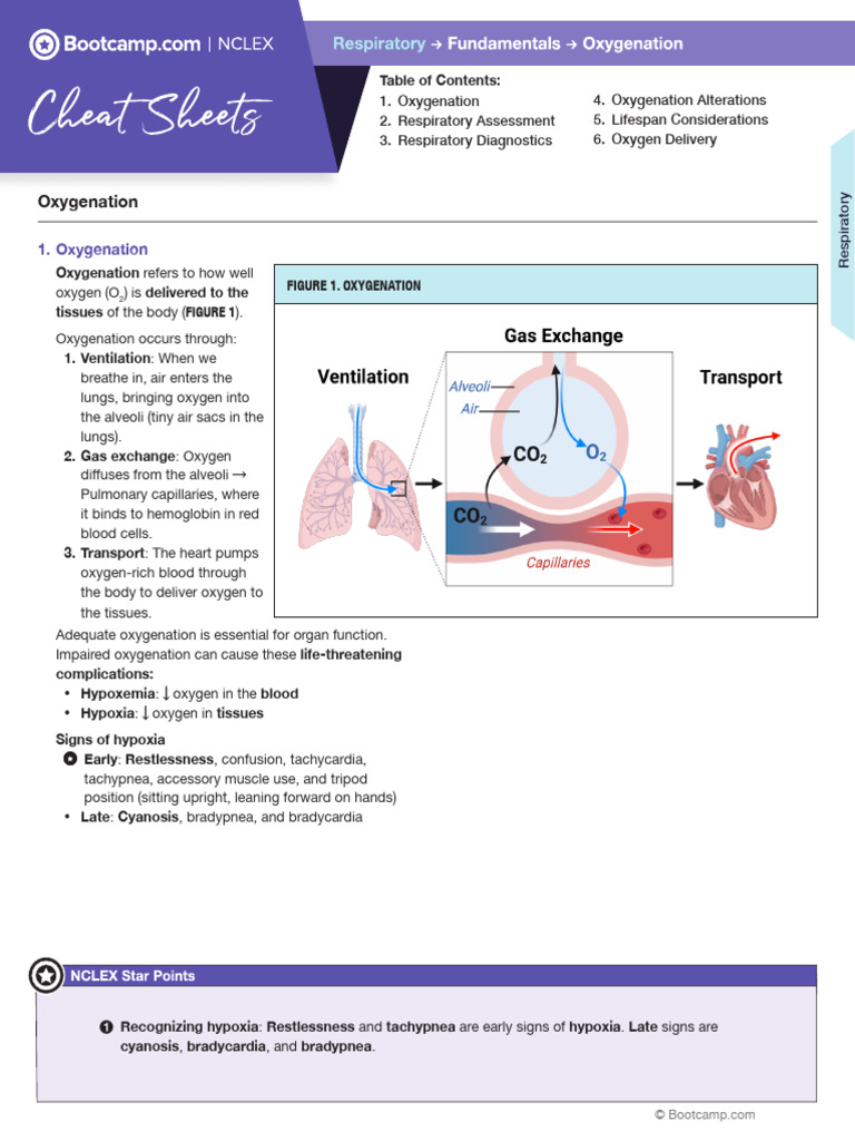 Oxygenation Cheat Sheet | PDF | Lung | Respiratory System
