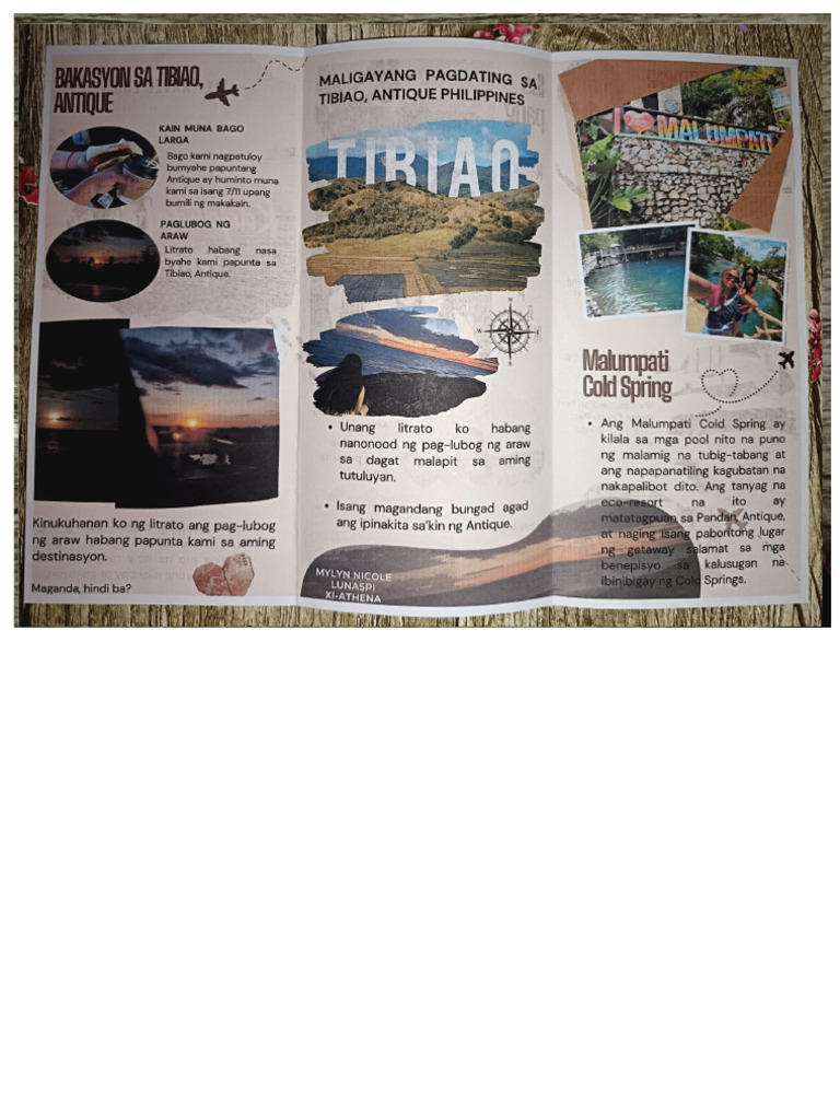 Mylyn Nicole Lunaspi-Travelouge | PDF