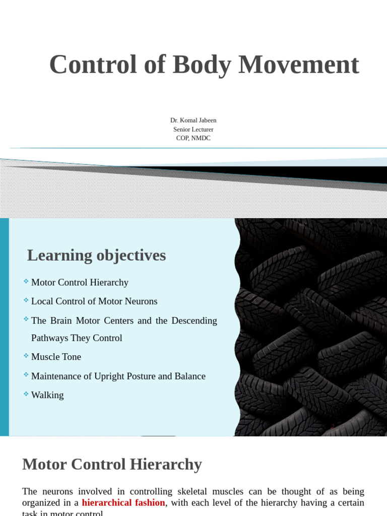 Lecture-15(Physiology) Control of Body Movement | PDF | Motor Neuron ...