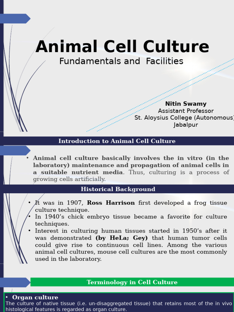 Animal Tissue Culture | PDF | Cell Culture | Epithelium