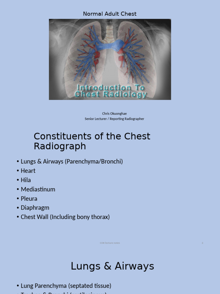 Normal Adult Chest - Anatomy 300L Uniben 05112024 | PDF | Lung | Thorax