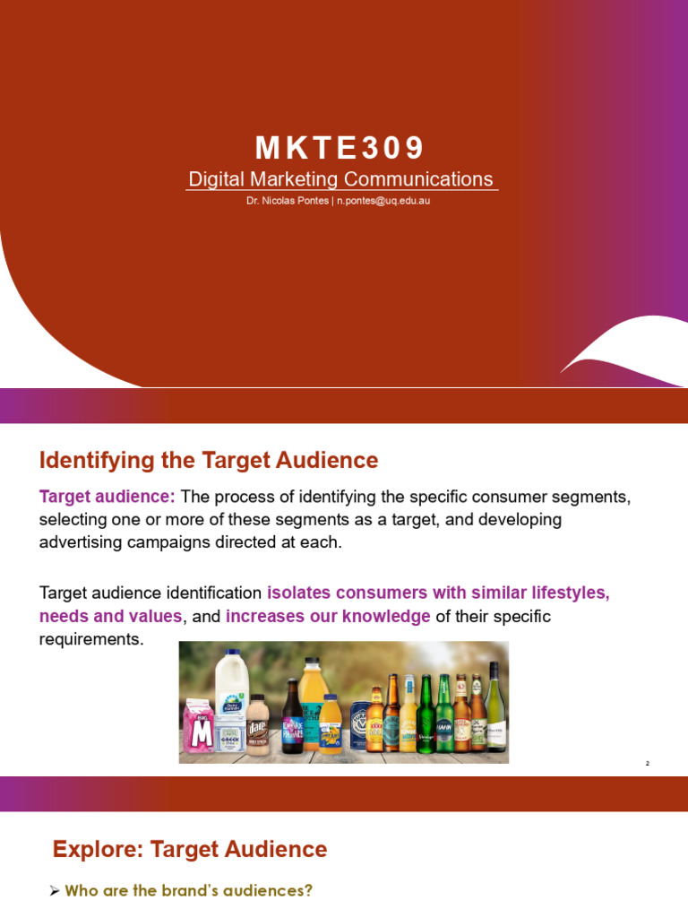 Workshop - Target Audience | PDF | Brand | Target Audience