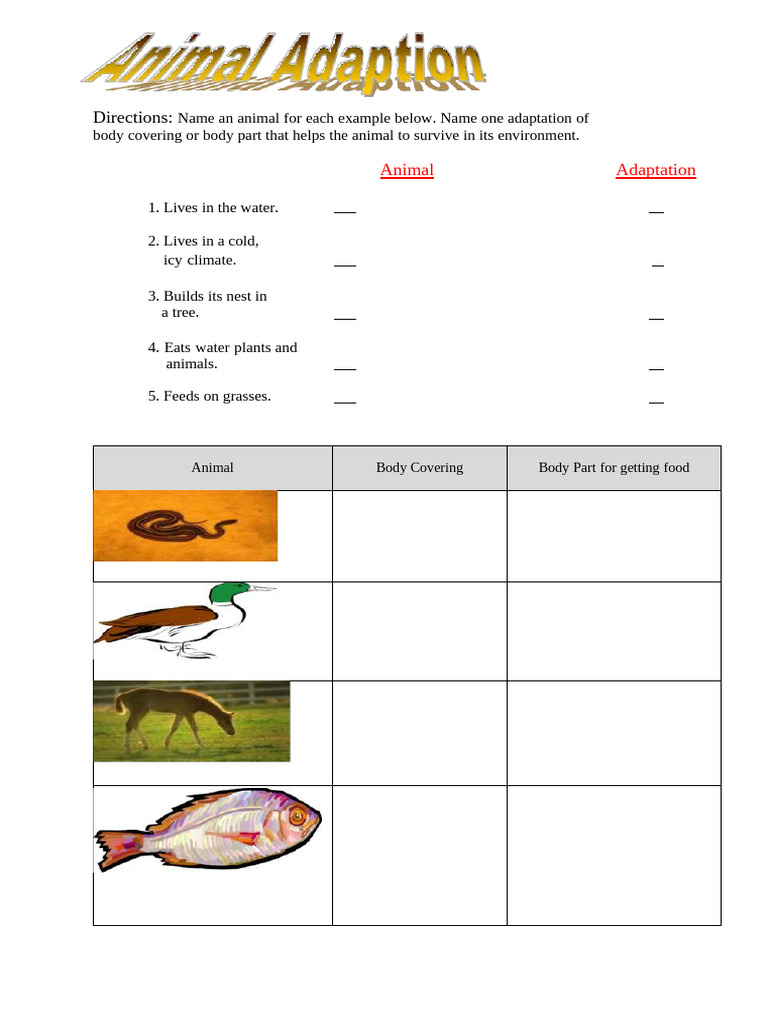 Animal Adaptations for Survival | PDF | Predation | Eye