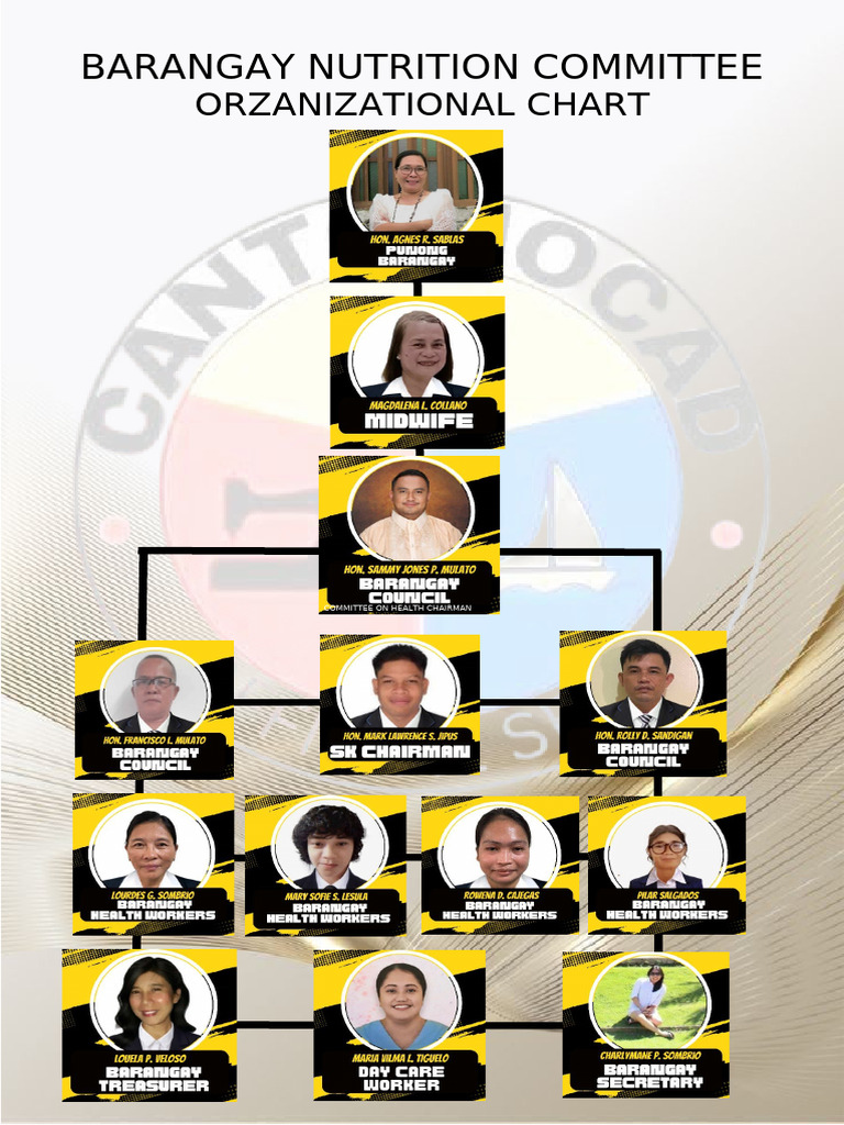 BNC Organizational Chart | PDF