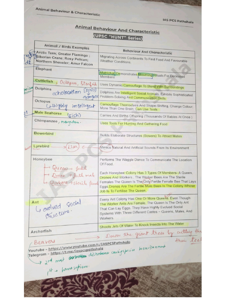 Animal Behaviour | PDF