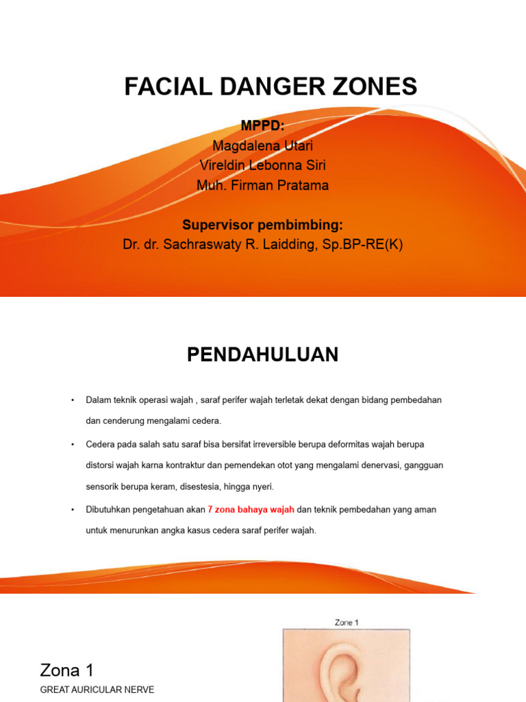 Facial Danger Zones | PDF