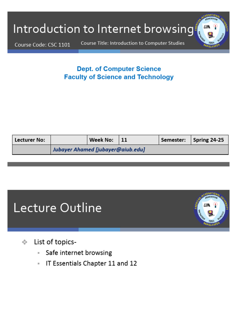 Week 11 Safe Internet Browsing | PDF | Http Cookie | World Wide Web