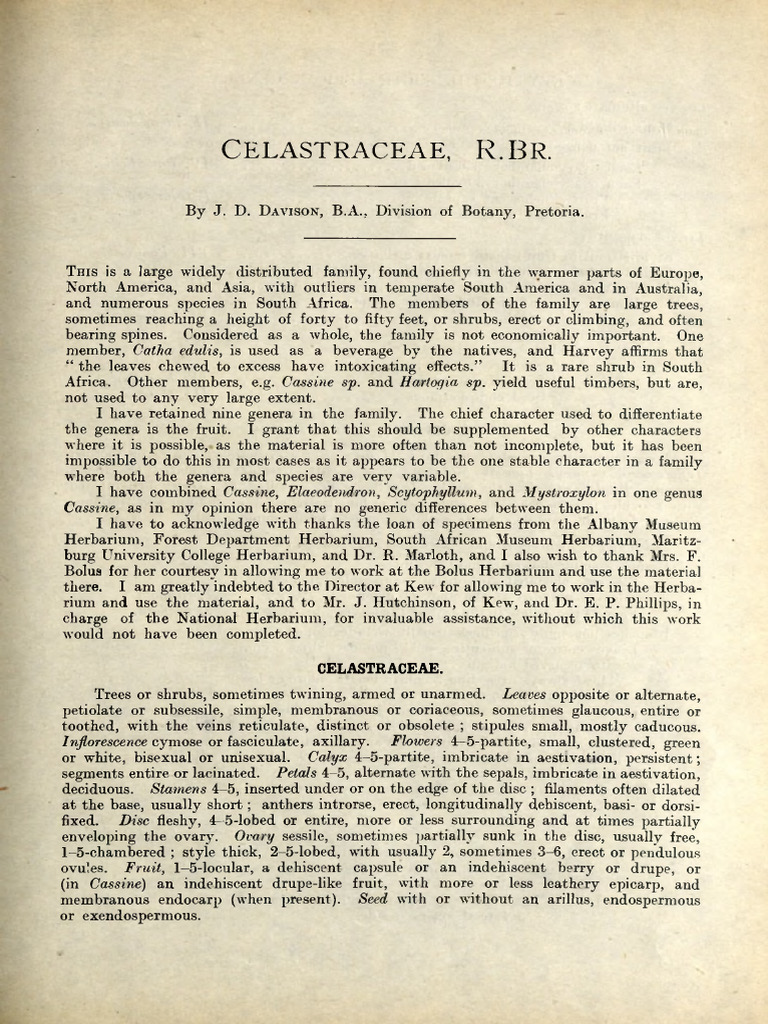 Overview of Celastraceae Family Traits | PDF | Horticultural Techniques ...