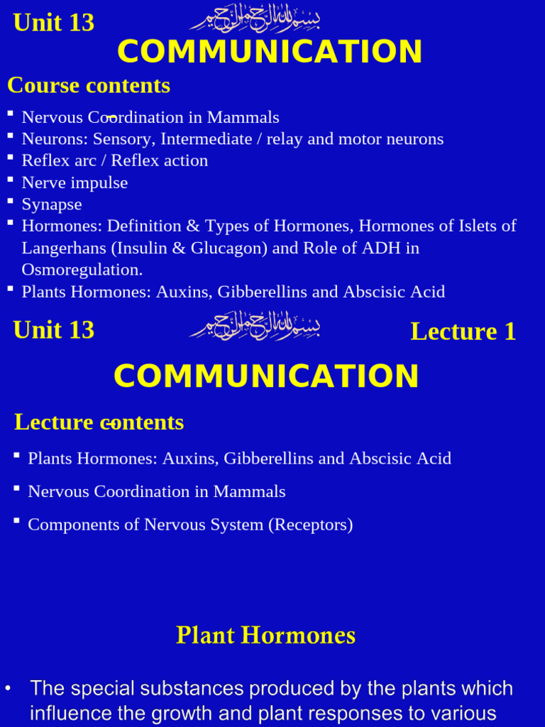 Unit 13 Communication Lecture 1 | PDF | Auxin | Plant Hormone