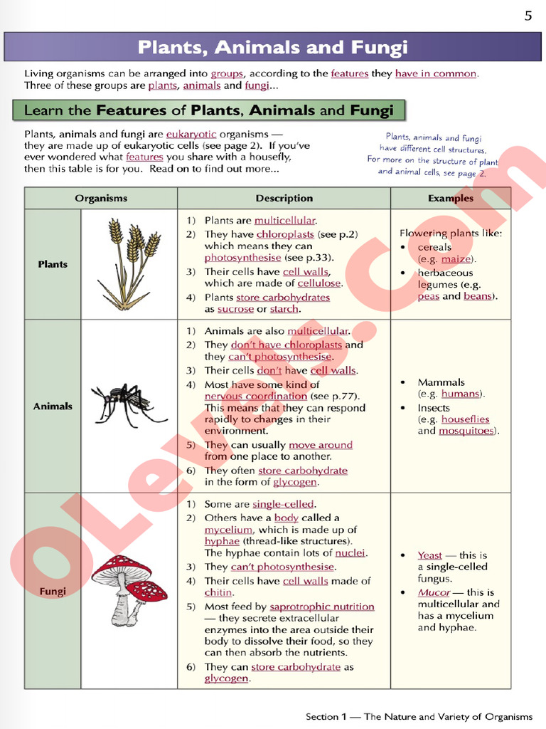 c89045d2 Revision Notes 1 The Nature and Variety of Organismsp5 | PDF