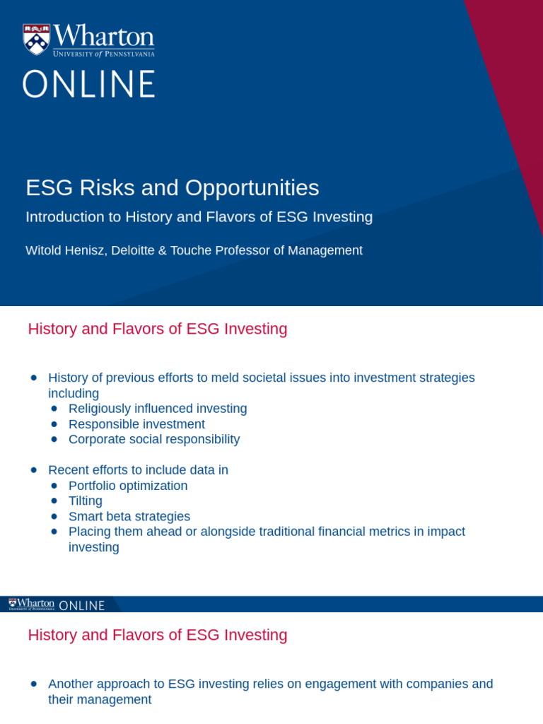 ESG Investing: Risks and Opportunities | PDF | Investing | Risk