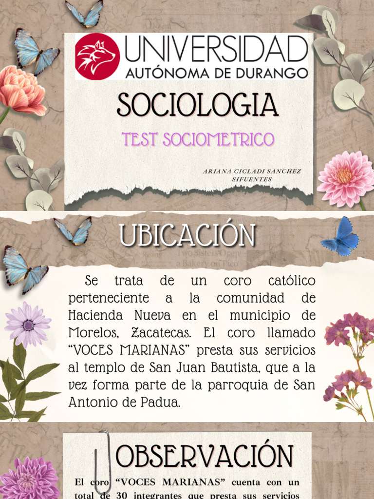 Presentacion Test Sociometrico | PDF