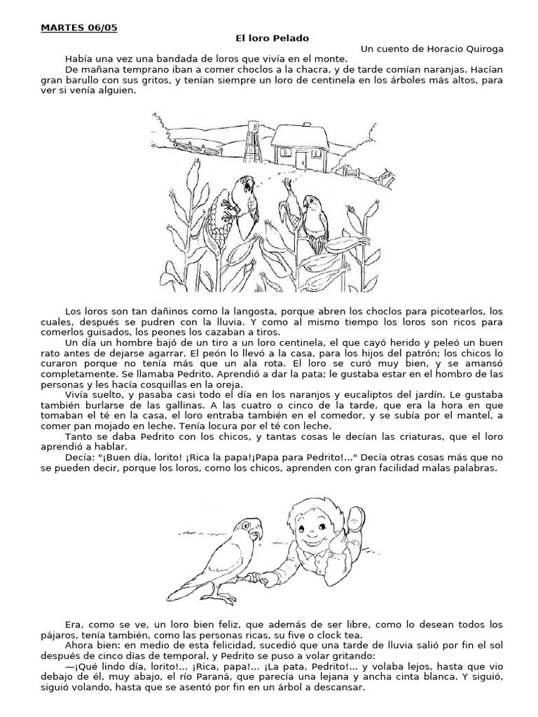CUENTO El Loro Pelado Actividades | PDF | Adjetivo | Morfología Lingüística