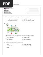 Photosynthesis and CellRespiration AnswerKey | PDF