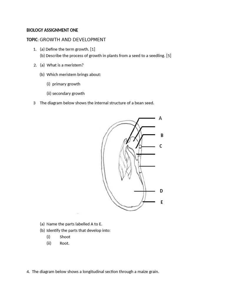 12 K Assignment | PDF